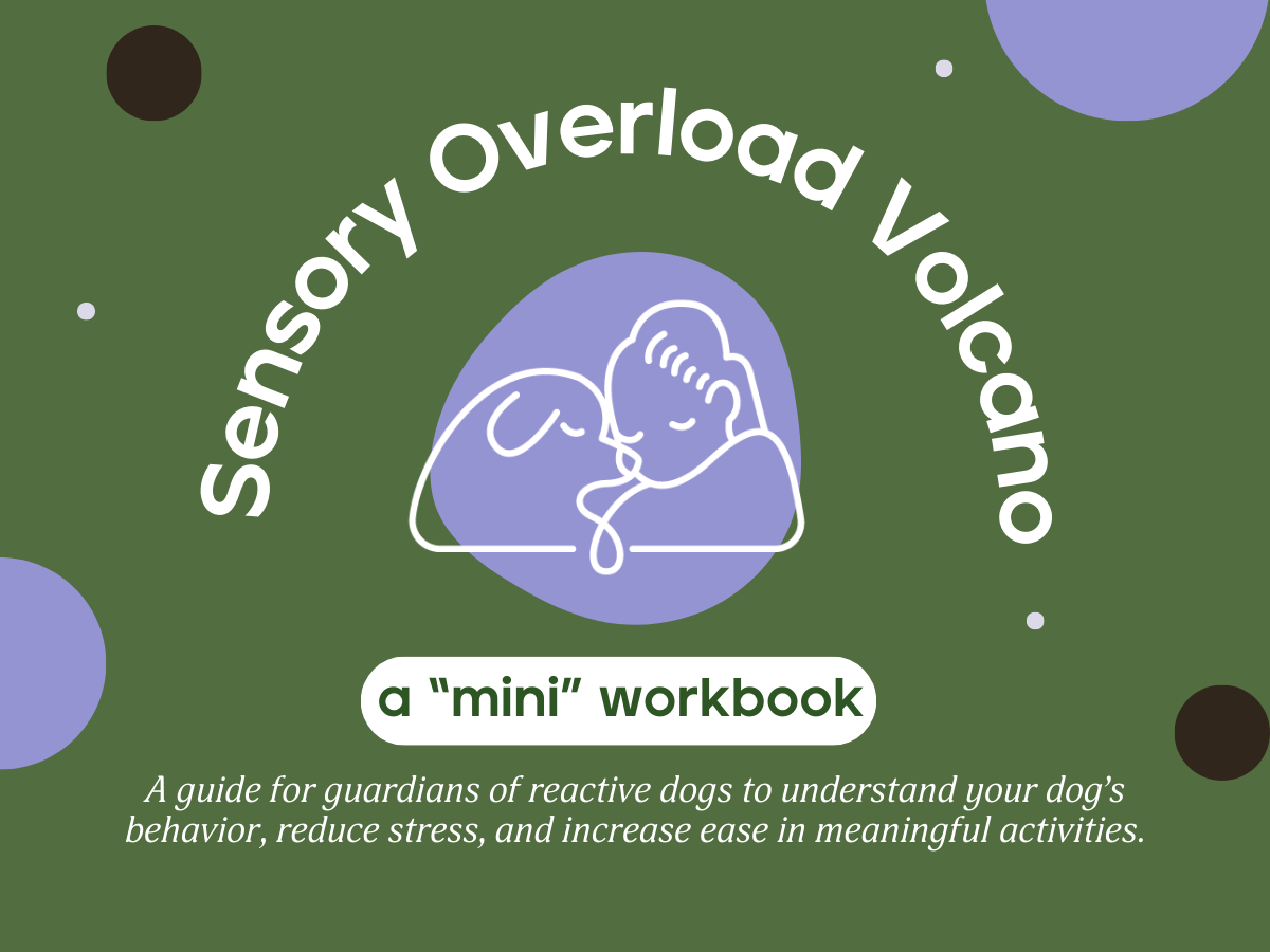 Sensory Overload Volcano Workbook — Human Canine Collaborative