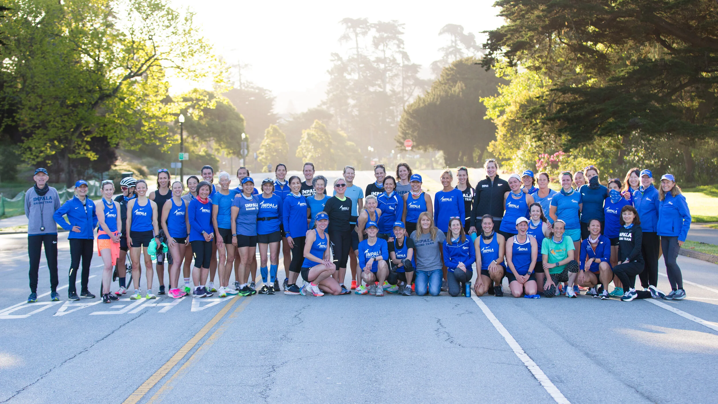 Impala Stampede — Impala Racing Team
