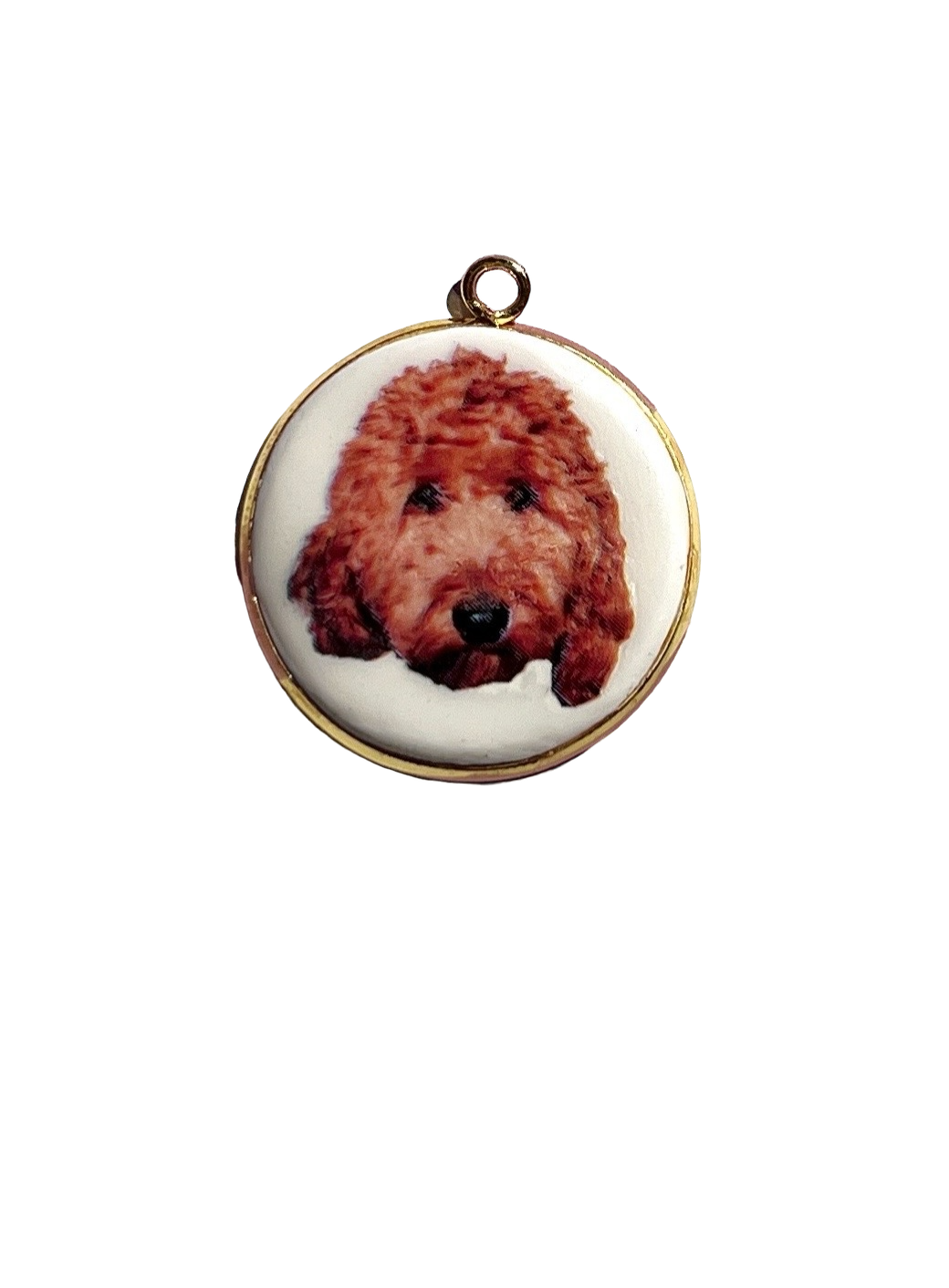 Sigfus Designs — Sigfus Designs