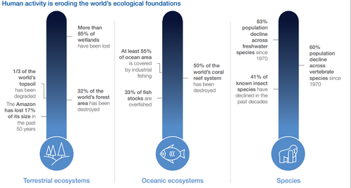 Introducing the Natural Capital Practice — ThirdWay Partners