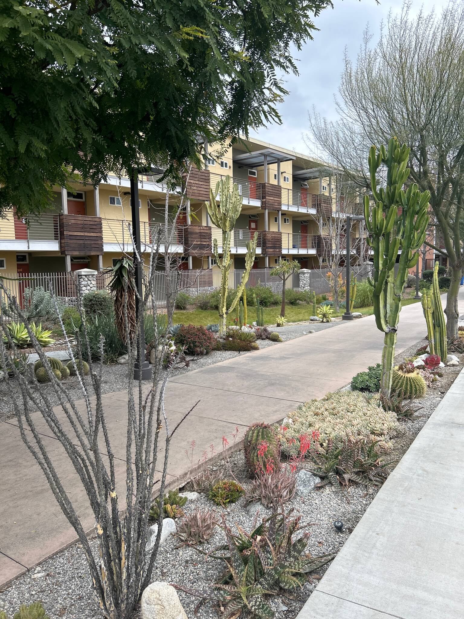 Campus Tour: Pitzer College — Launchpad Admissions | College Admission ...