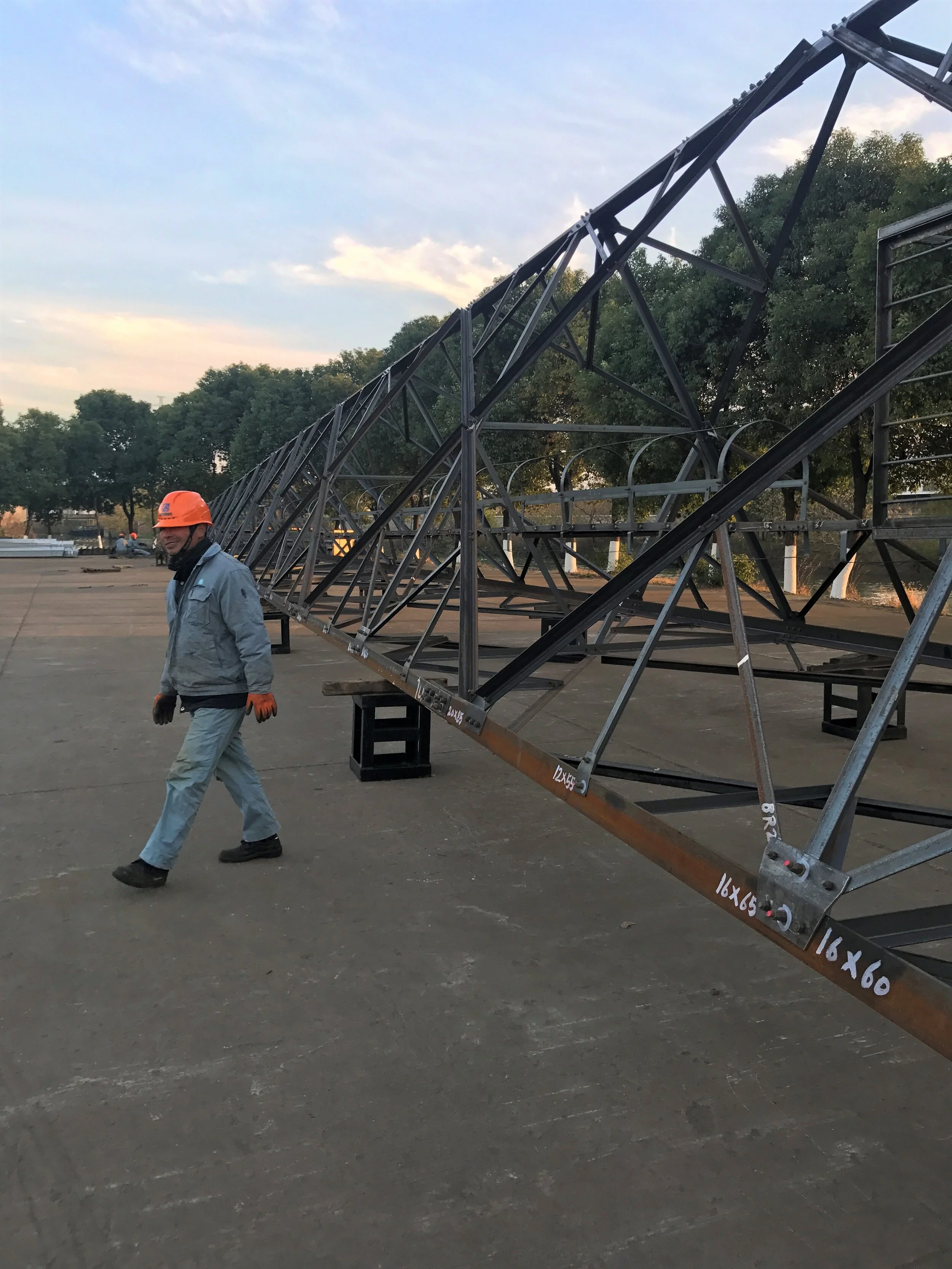 Tower Solutions — Tiger Infrastructure