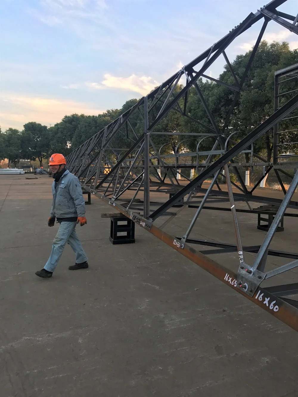 Tower Solutions — Tiger Infrastructure