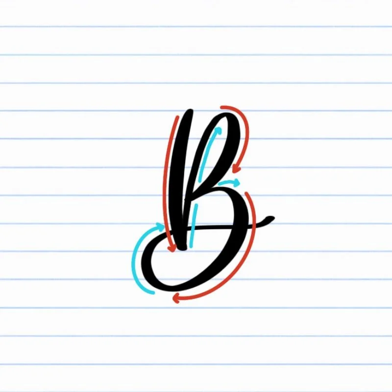 Calligraphy Letter B: Uppercase, Lowercase, Strokes & Practice