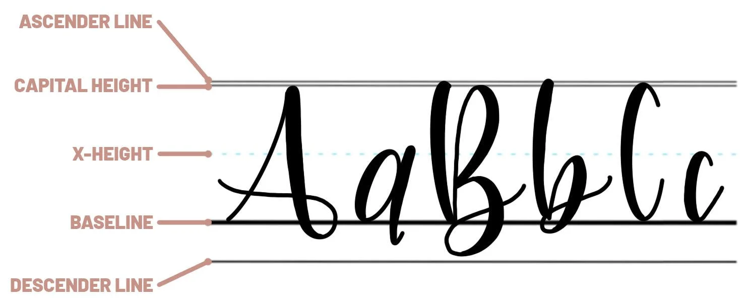 Understanding Calligraphy Guidelines & Typography