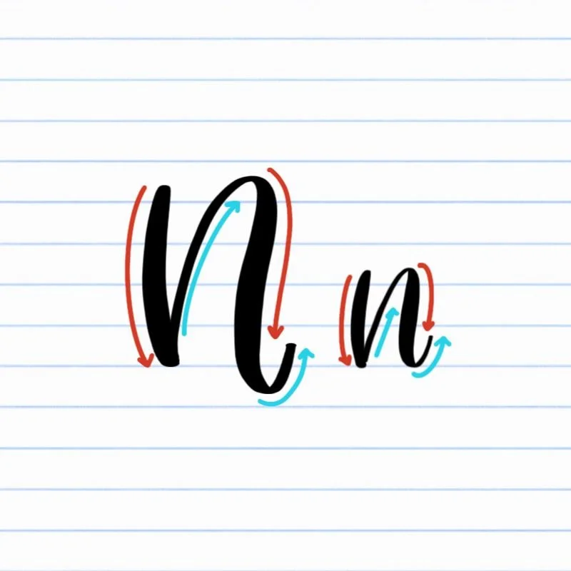 Calligraphy N: Uppercase, Lowercase, Strokes & Practice