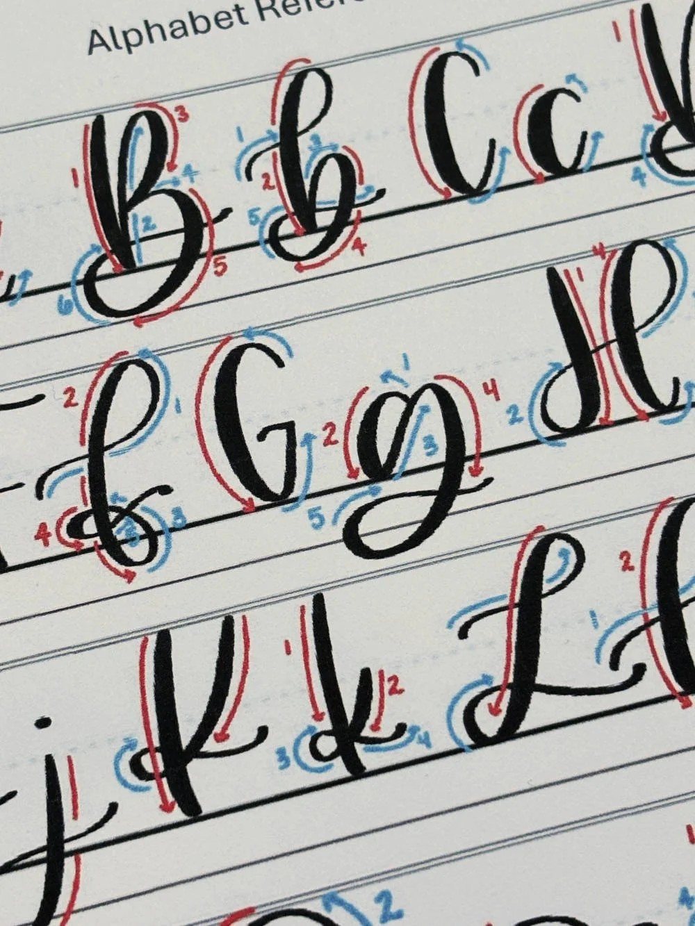 Calligraphy G: Uppercase, Lowercase, Strokes & Practice