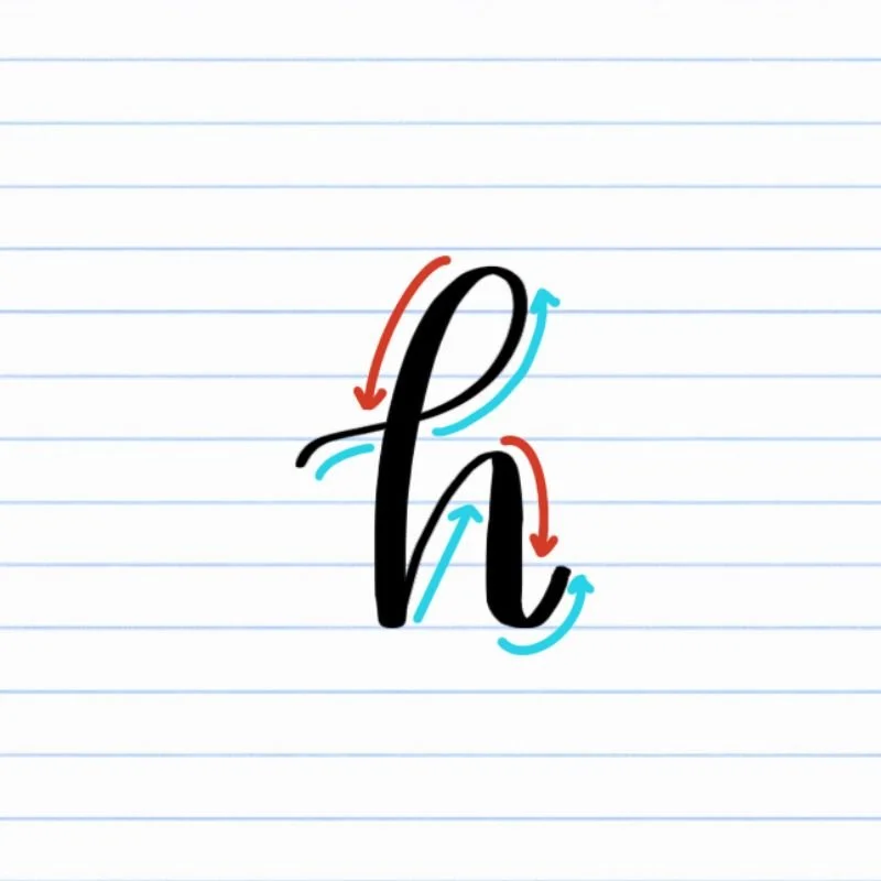 Calligraphy H: Uppercase, Lowercase, Strokes & Practice