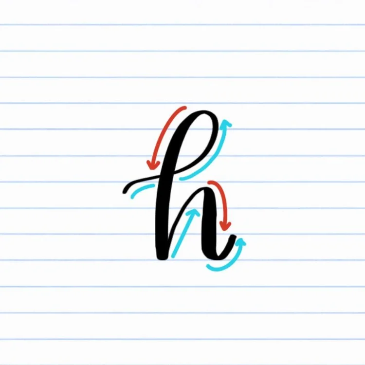 Calligraphy H: Uppercase, Lowercase, Strokes & Practice