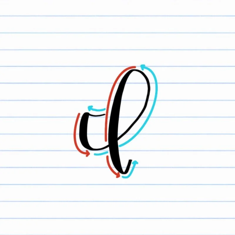 Calligraphy I: Uppercase, Lowercase, Strokes & Practice