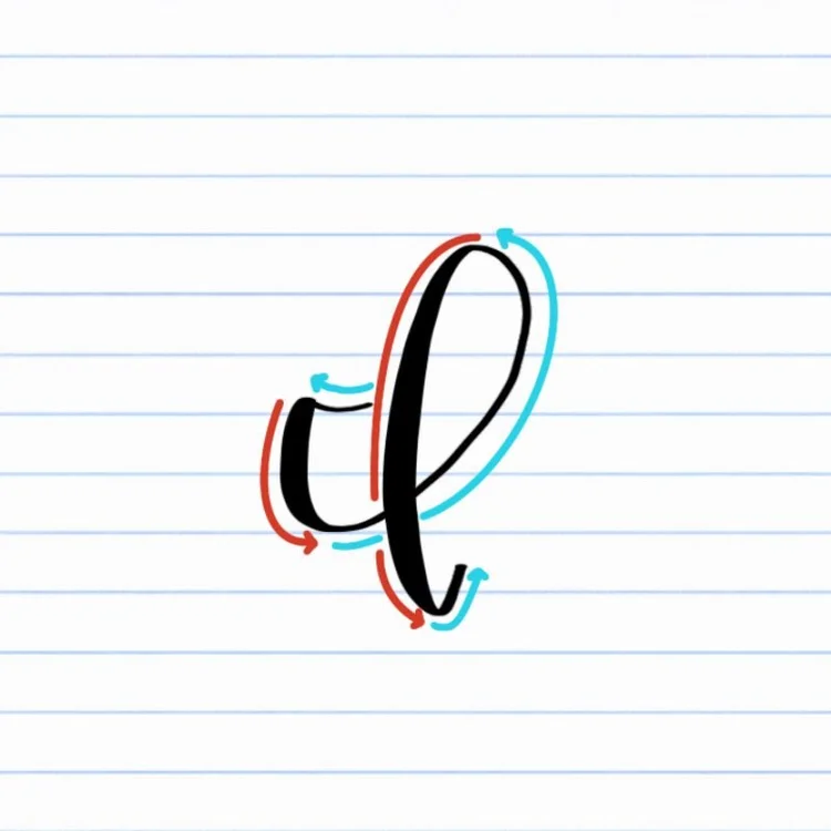 Calligraphy I: Uppercase, Lowercase, Strokes & Practice