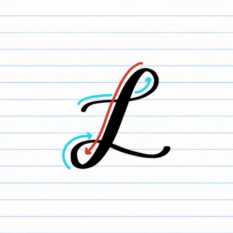 Calligraphy L: Uppercase, Lowercase, Strokes & Practice