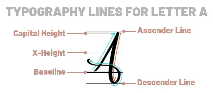 How to Become a Lettering Pro | Heinen Designs