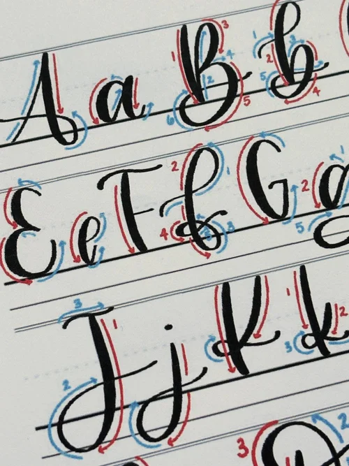 Calligraphy F: Uppercase, Lowercase, Strokes & Practice