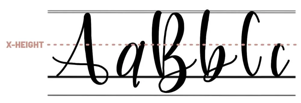 Understanding Calligraphy Guidelines & Typography