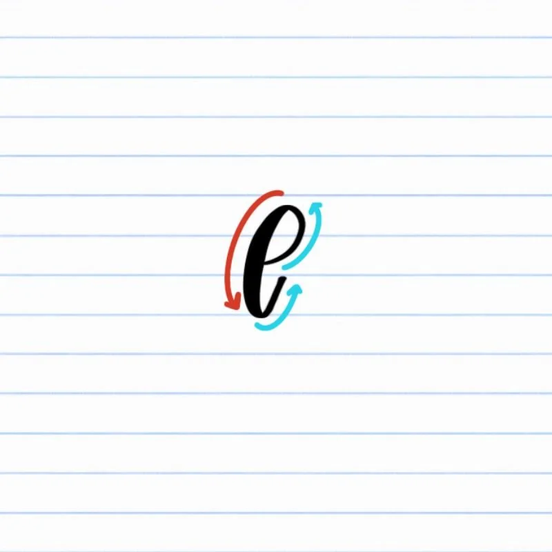 Calligraphy E: Uppercase, Lowercase, Strokes & Practice