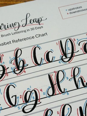 Calligraphy C: Uppercase, Lowercase, Strokes & Practice