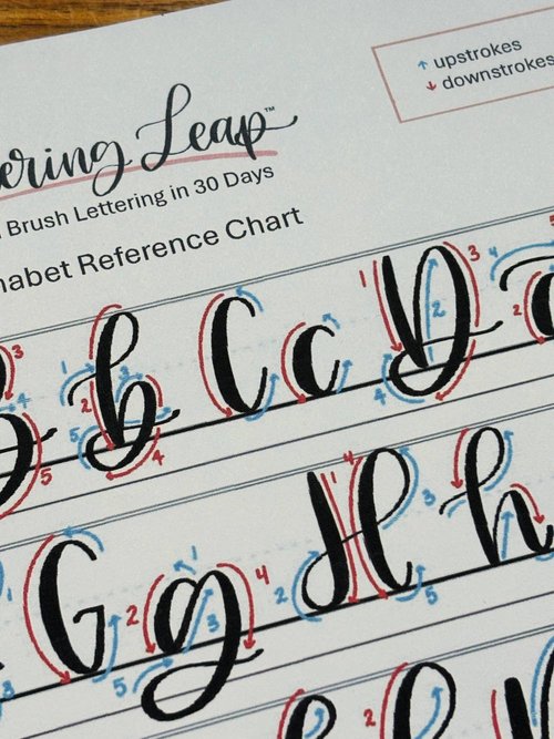 Calligraphy C: Uppercase, Lowercase, Strokes & Practice