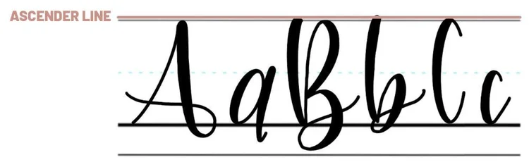 Understanding Calligraphy Guidelines & Typography