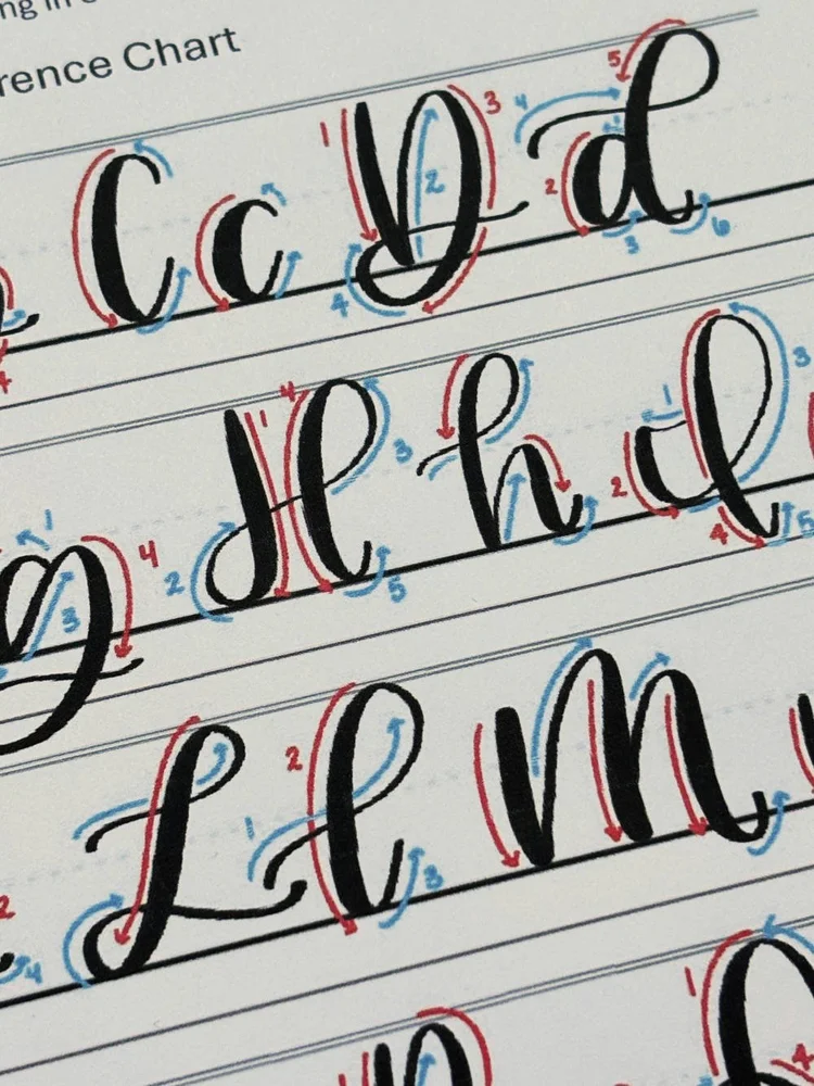 Calligraphy H: Uppercase, Lowercase, Strokes & Practice