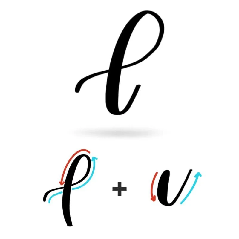 Calligraphy L: Uppercase, Lowercase, Strokes & Practice