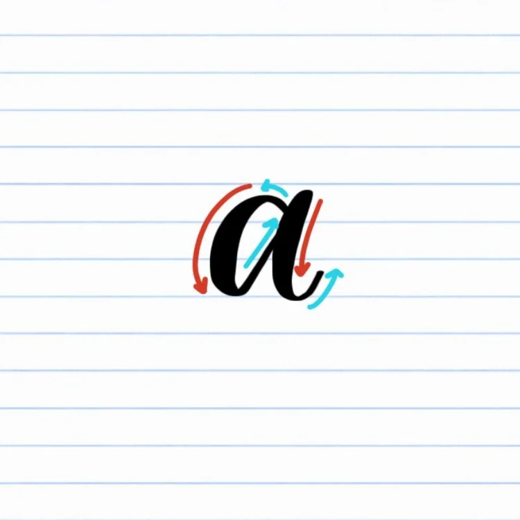 Calligraphy Letter A: Uppercase, Lowercase, Strokes & Practice