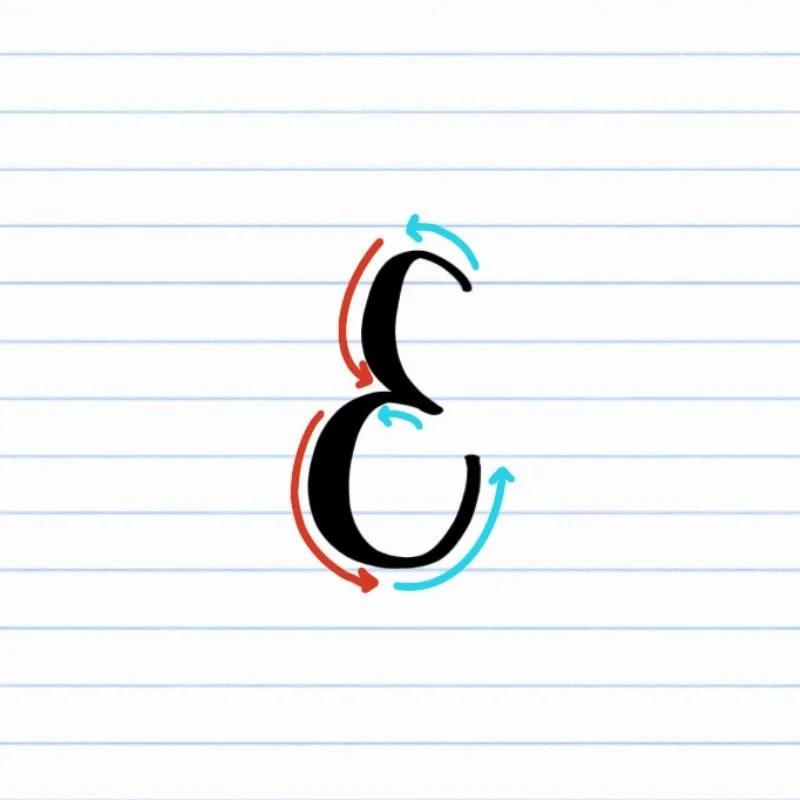Calligraphy E: Uppercase, Lowercase, Strokes & Practice