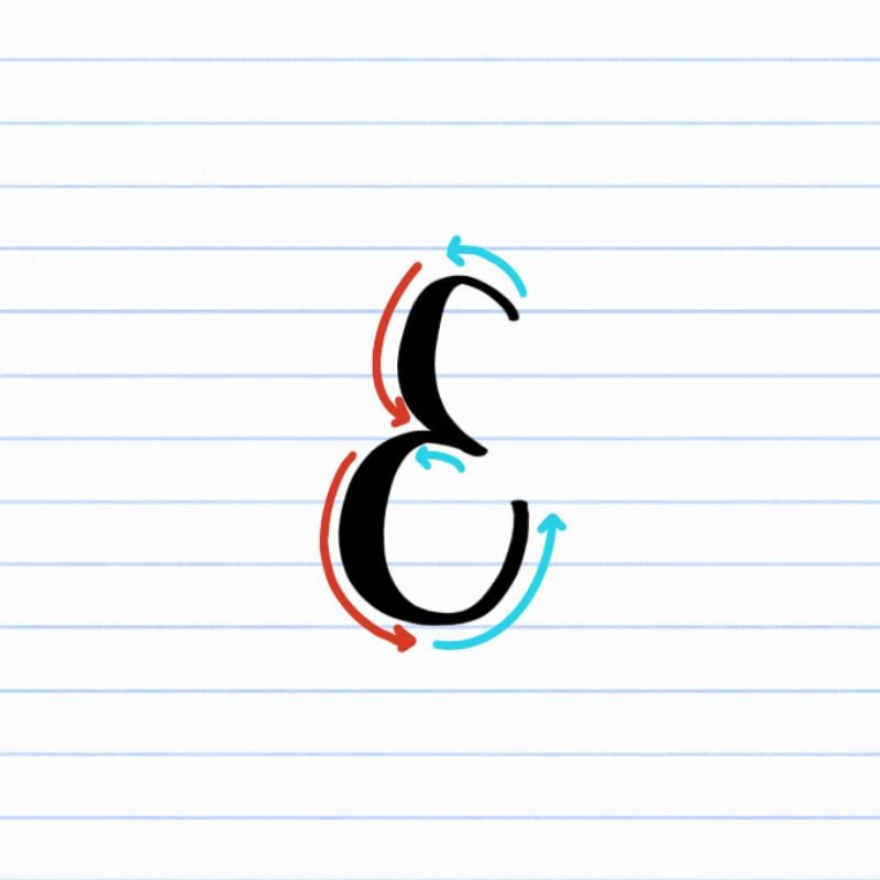 Calligraphy E: Uppercase, Lowercase, Strokes & Practice