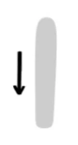 Improve Your Lettering with 8 Basic Calligraphy Strokes + FREE Download