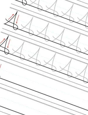 Beginner's Monoline Workbook - Easy Lettering Starter Guide