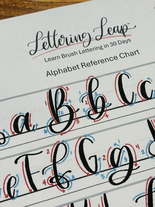 Calligraphy Letter B: Uppercase, Lowercase, Strokes & Practice