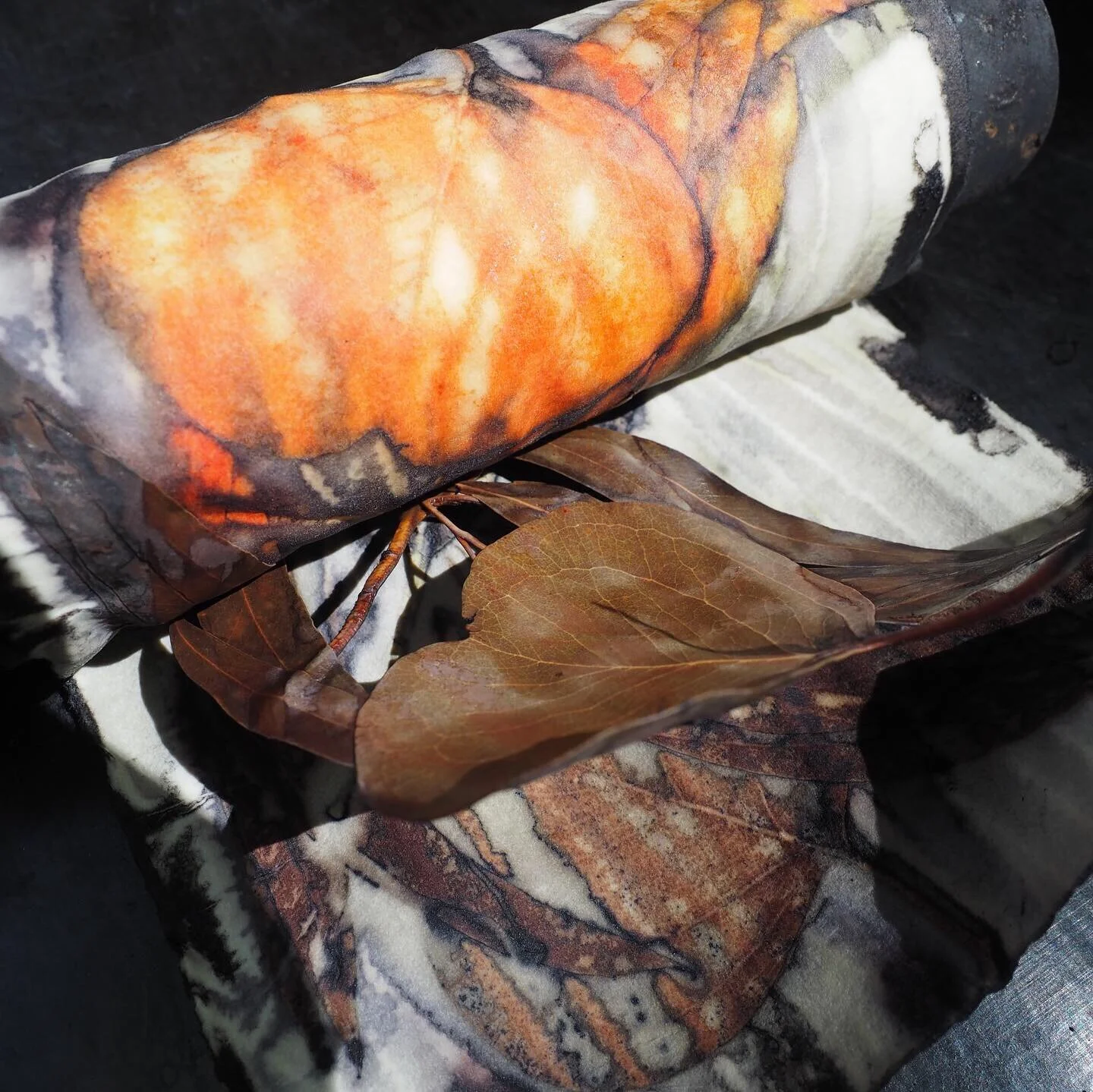 Gallery — Paper Cloth Studio