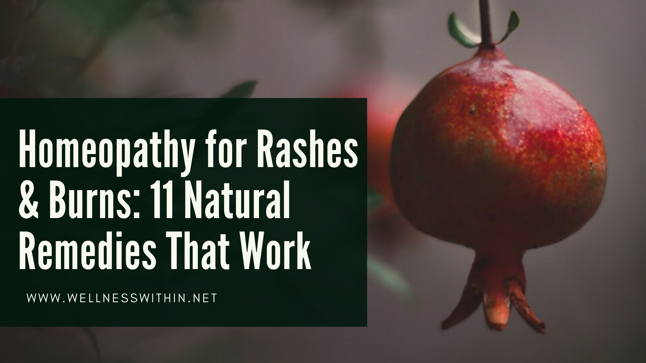 Homeopathy for Rashes & Burns: 11 Natural Remedies That Work — WELLNESS ...
