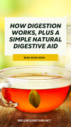 How Digestion Works, Plus a Simple Natural Digestive Aid — WELLNESS WITHIN