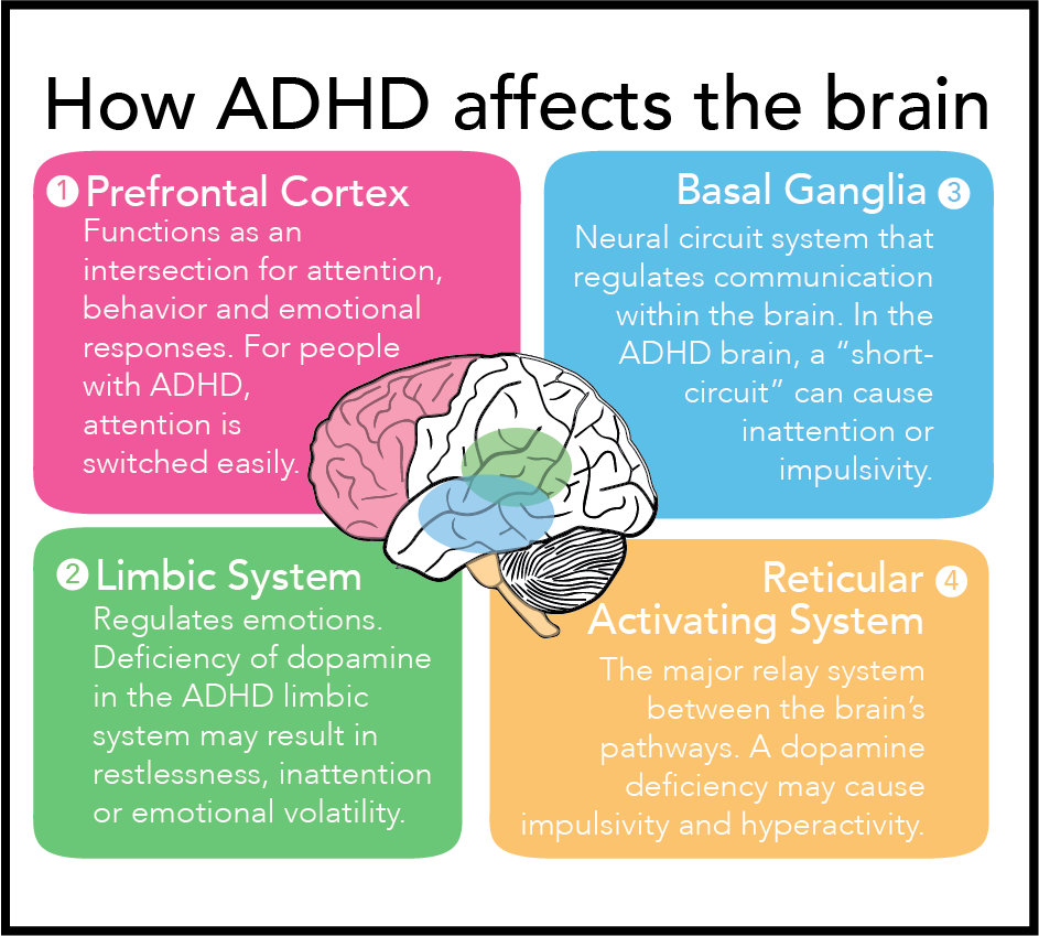 Can Adults Have Inattentive ADHD Inattentive ADHD Coalition