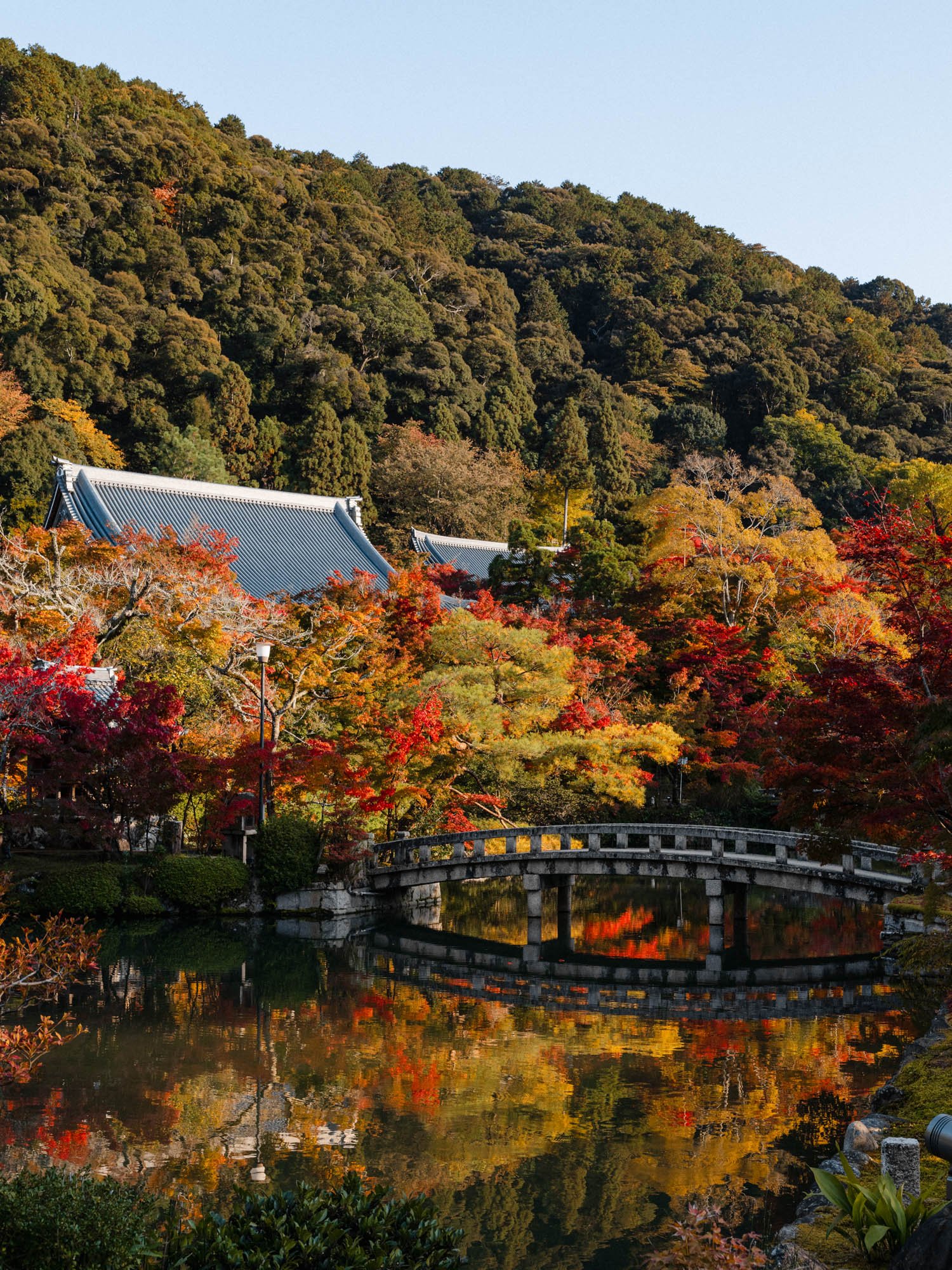 Beautiful Fall Scenery In Japan Kyoto Autumn Leaves: Top Viewing Spots