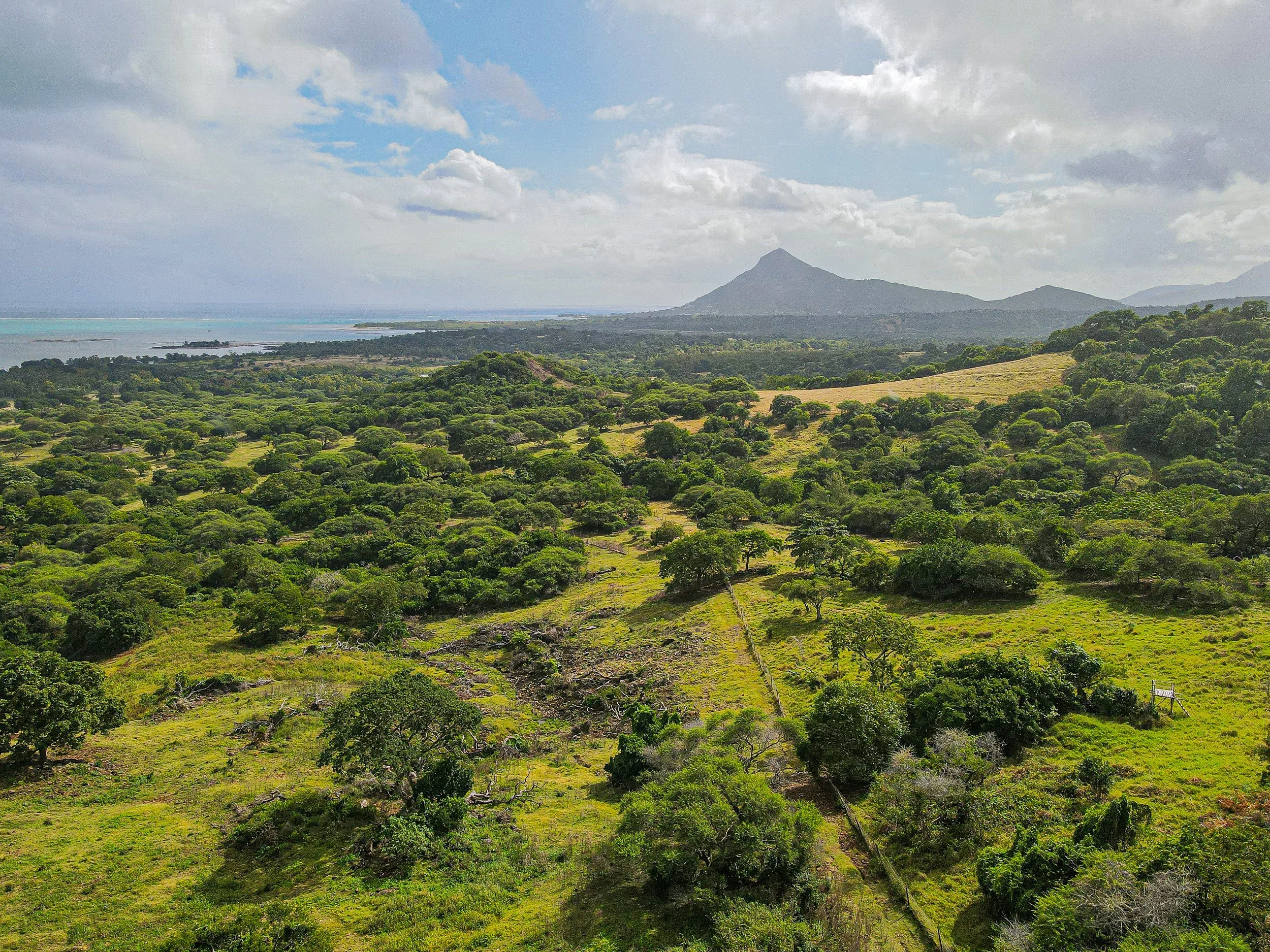 Car Rental Mauritius: Your Ultimate Guide to Exploring the Island by ...