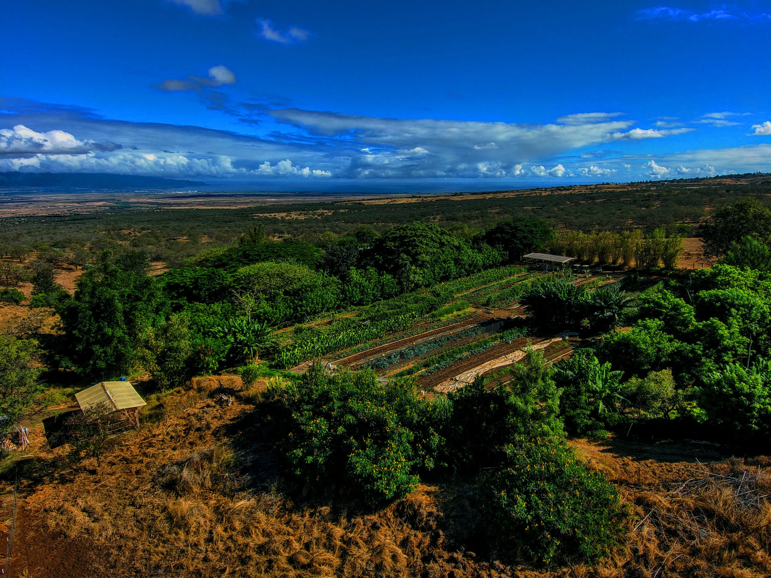 Kupa'a Farms