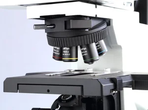 Microscope | Software | Dewinter