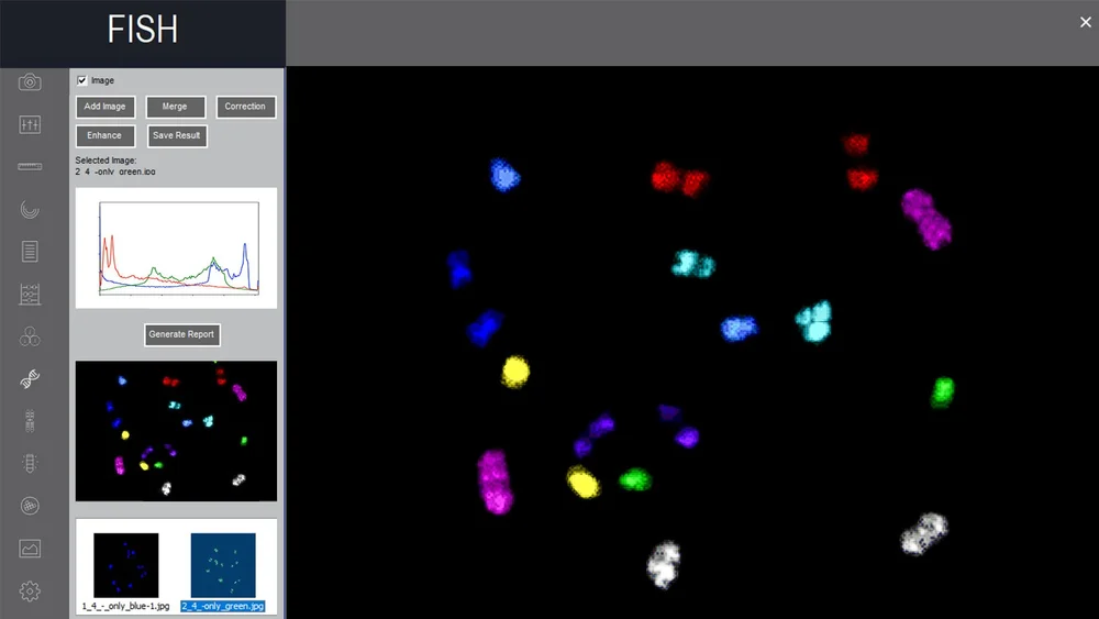 FISH - Fluorescence in Situ Hybridization | Enhance Your Research Now ...