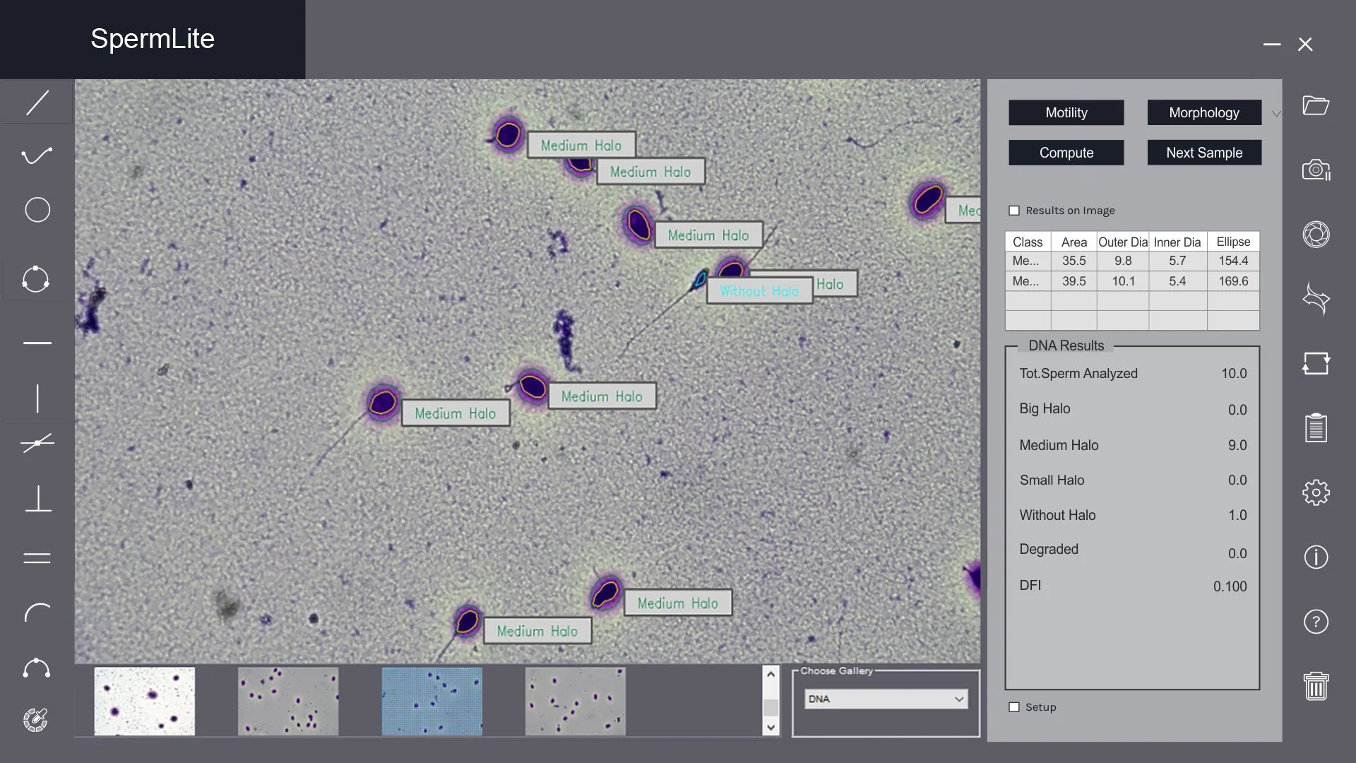 SOFTWARES | Enhance Your Research — Explore Software Solutions — Microscope | Software | Dewinter
