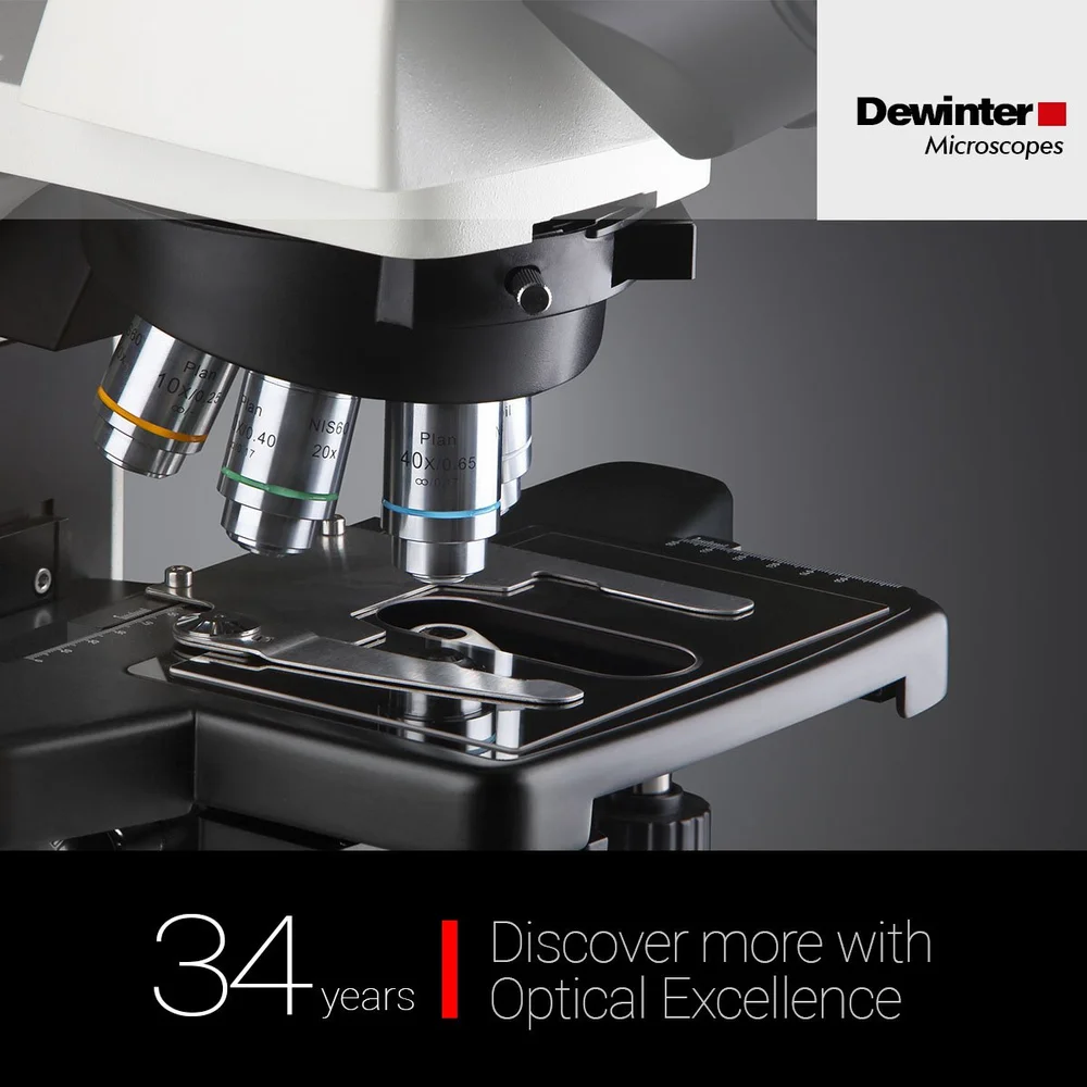 CONTACT US | Get in Touch Today — Microscope | Software | Dewinter