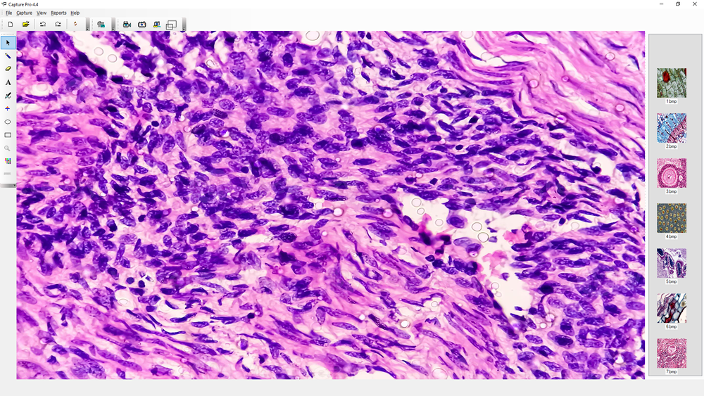 Capture Pro | Enhance Your Imaging Today — Microscope | Software | Dewinter