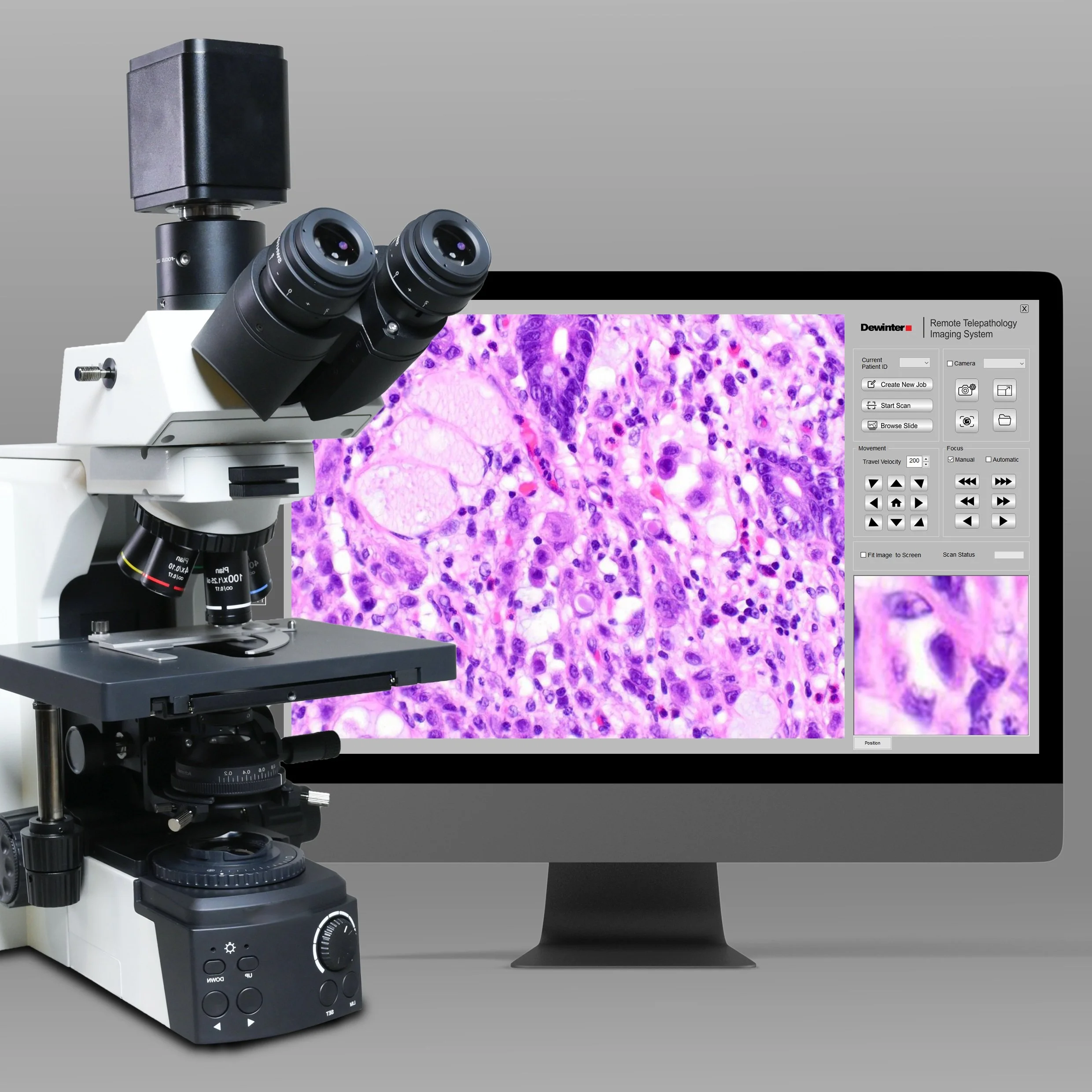 Microscope | Software | Dewinter