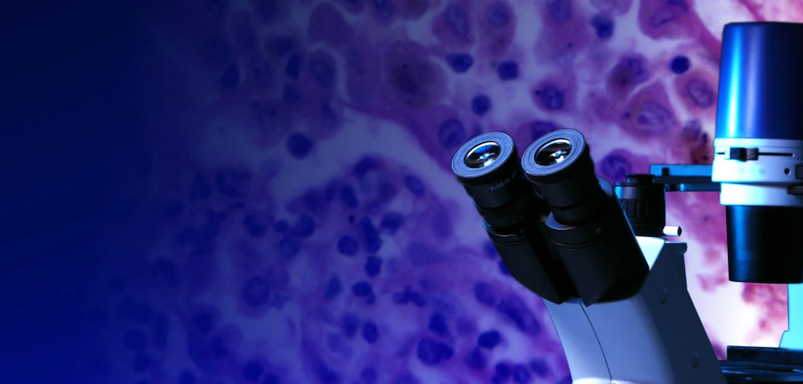 Microscope | Software | Dewinter