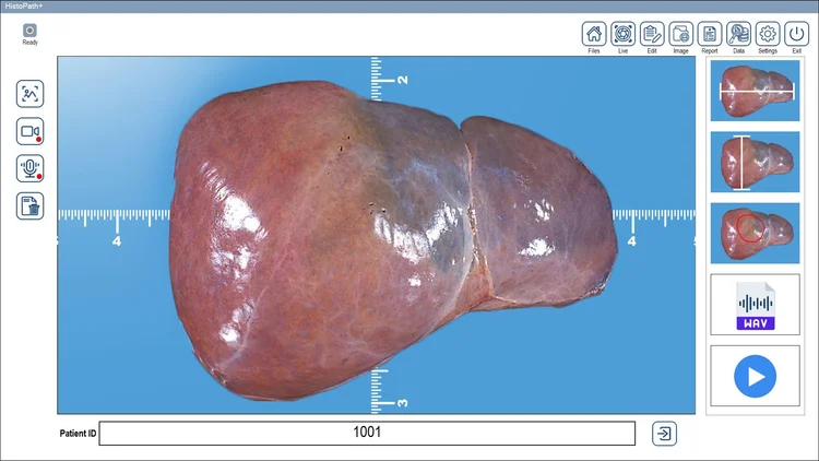 SOFTWARES | Enhance Your Research — Explore Software Solutions — Microscope | Software | Dewinter