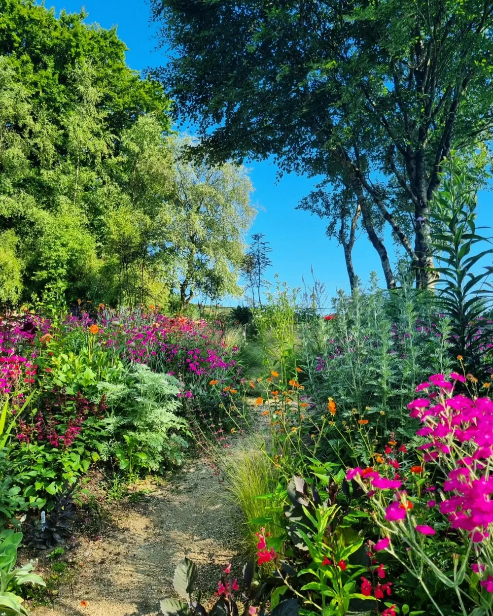 Ceremonies at Hunting Brook Gardens — Jimi Blake