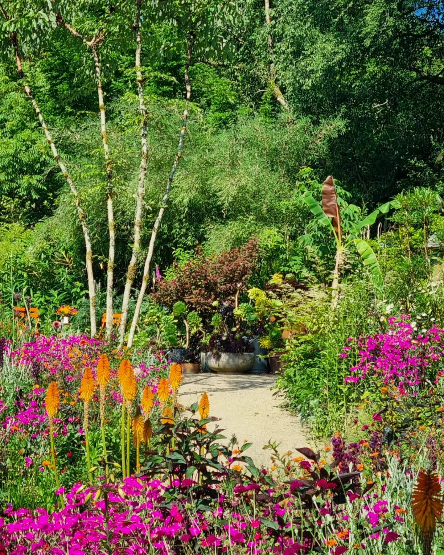 Ceremonies at Hunting Brook Gardens — Jimi Blake