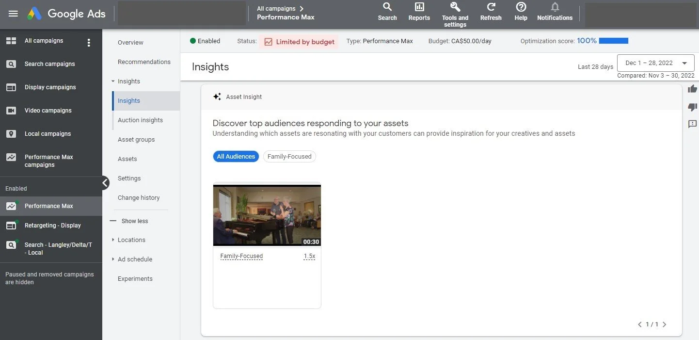 Google Ads Audience Insights & How To Use Them