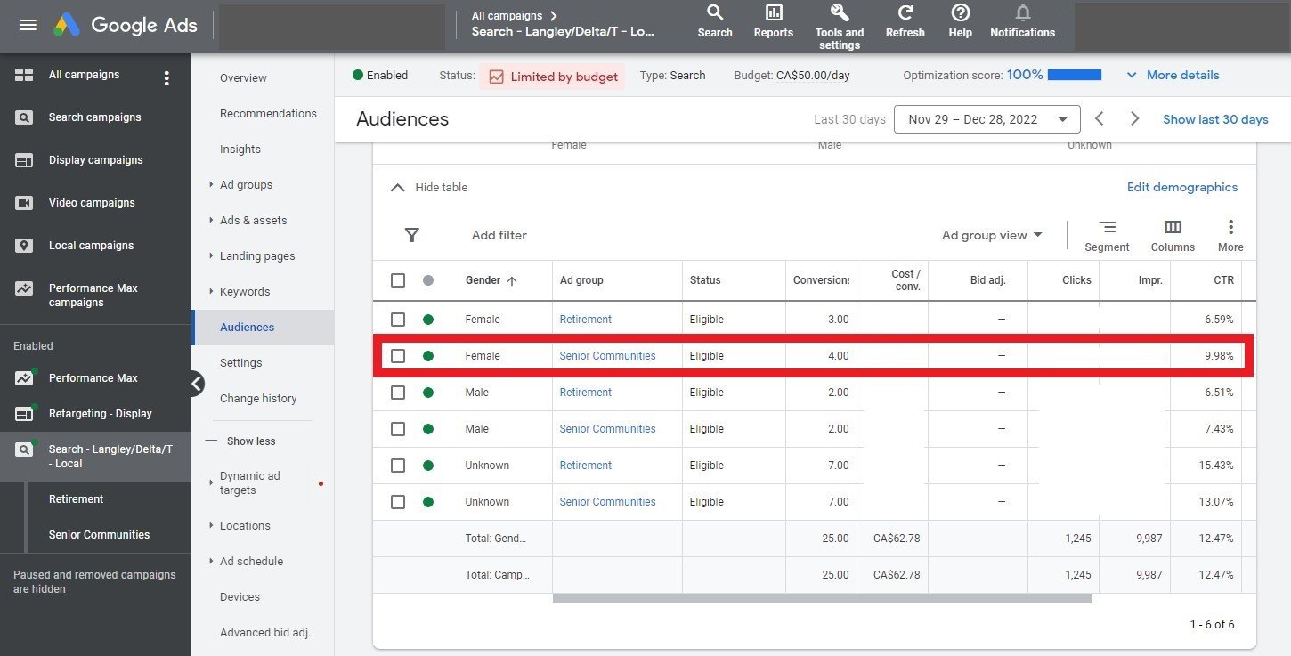 Google Ads Audience Insights & How To Use Them